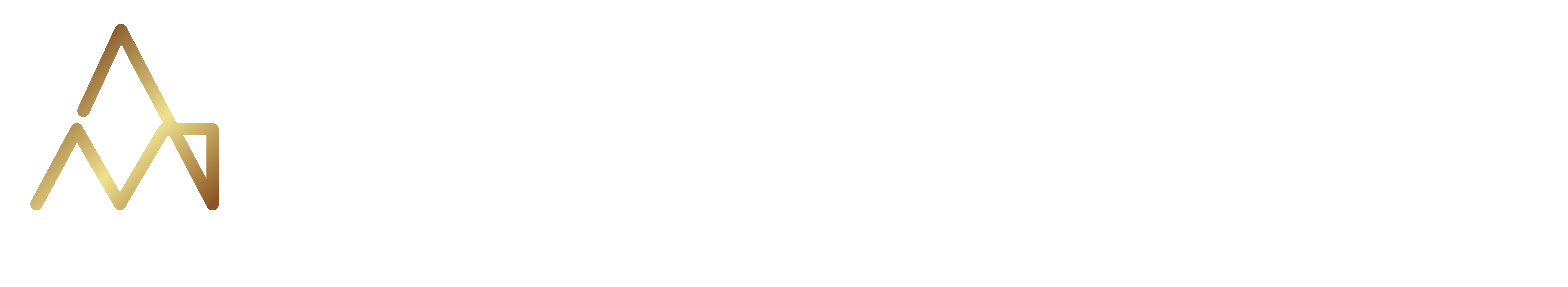 Our services | Am Associates